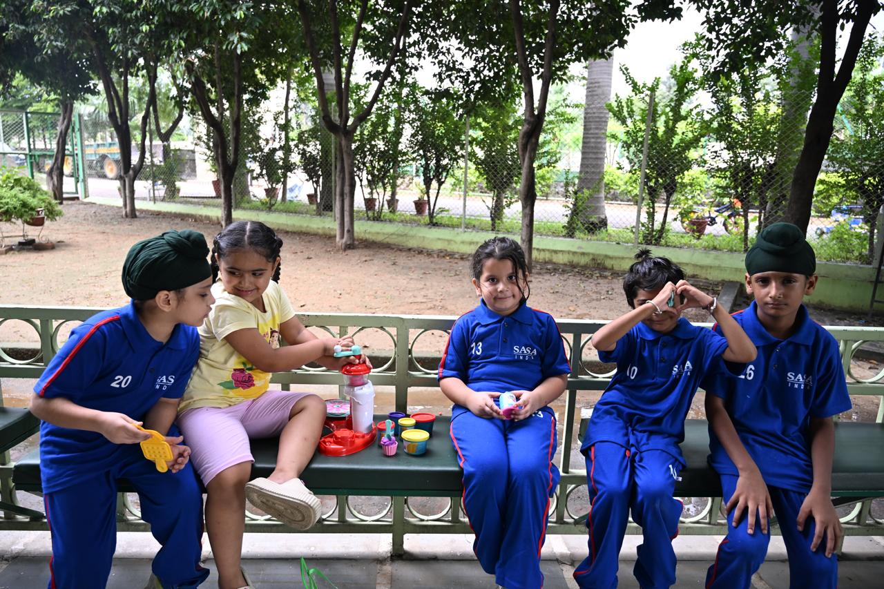 - SAS Academy Ropar IN